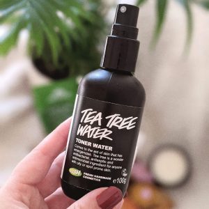 6 Best Tea Tree Skincare Products | How Can Tea Tree Help Skin? | EN