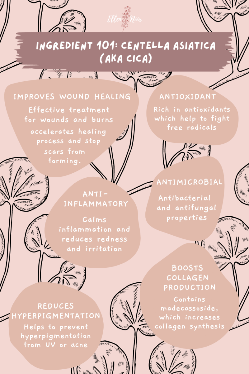 Ingredient 101: Centella Asiatica aka Cica | Ellen Noir